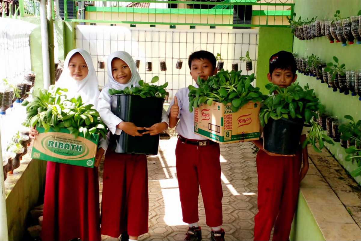 Hasil Kebun Sekolah: Aku, Buah dan Sayur - SPEAK Indonesia